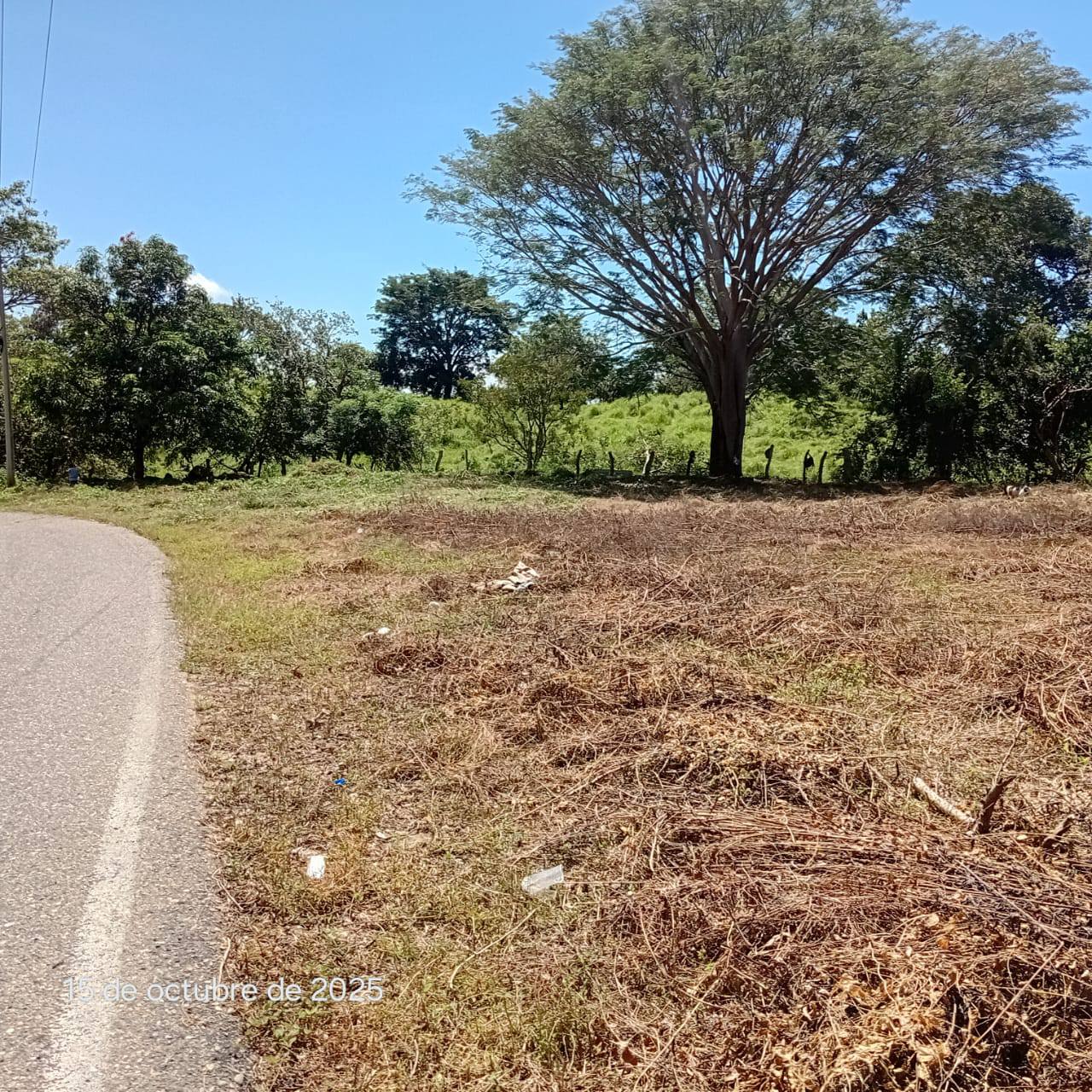 Realizan limpieza en entronque Igualapa - San Juan de los Llanos - El ...
