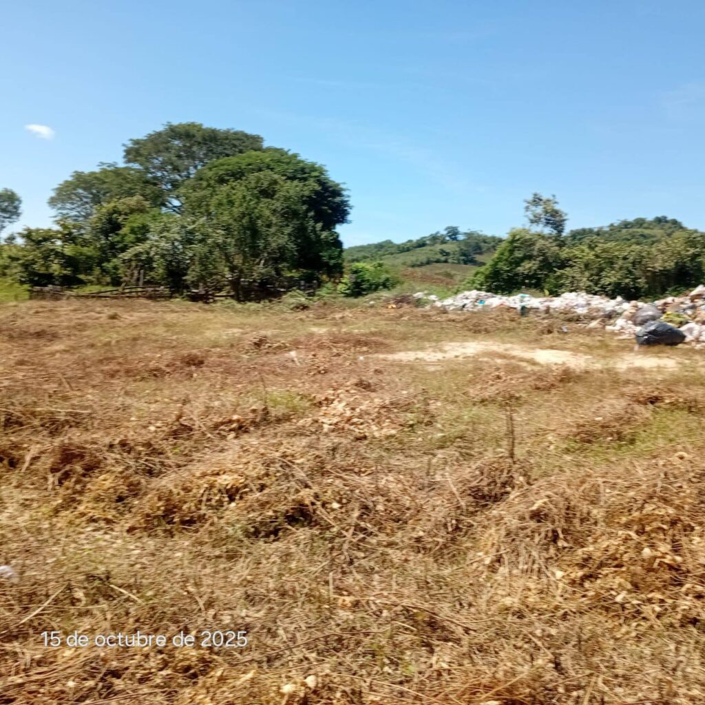 Realizan limpieza en entronque Igualapa - San Juan de los Llanos - El ...